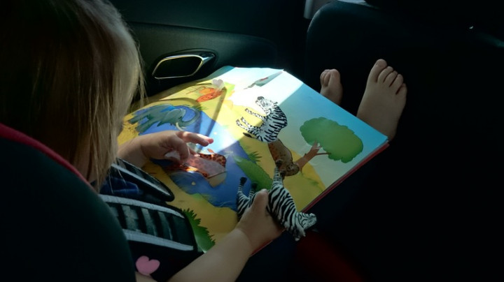 Игры в дорогу — 8 ответов | форум Babyblog